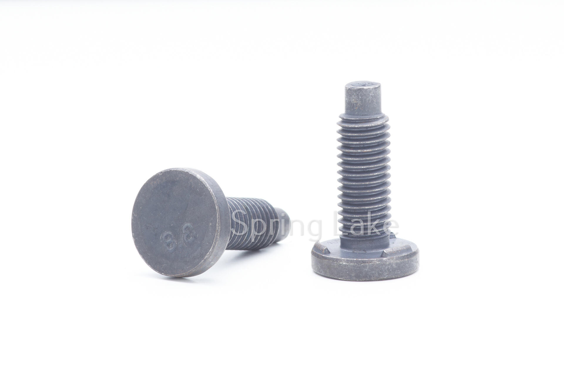 Projection Weld Bolt - Spring Lake Enterprise Co., Ltd