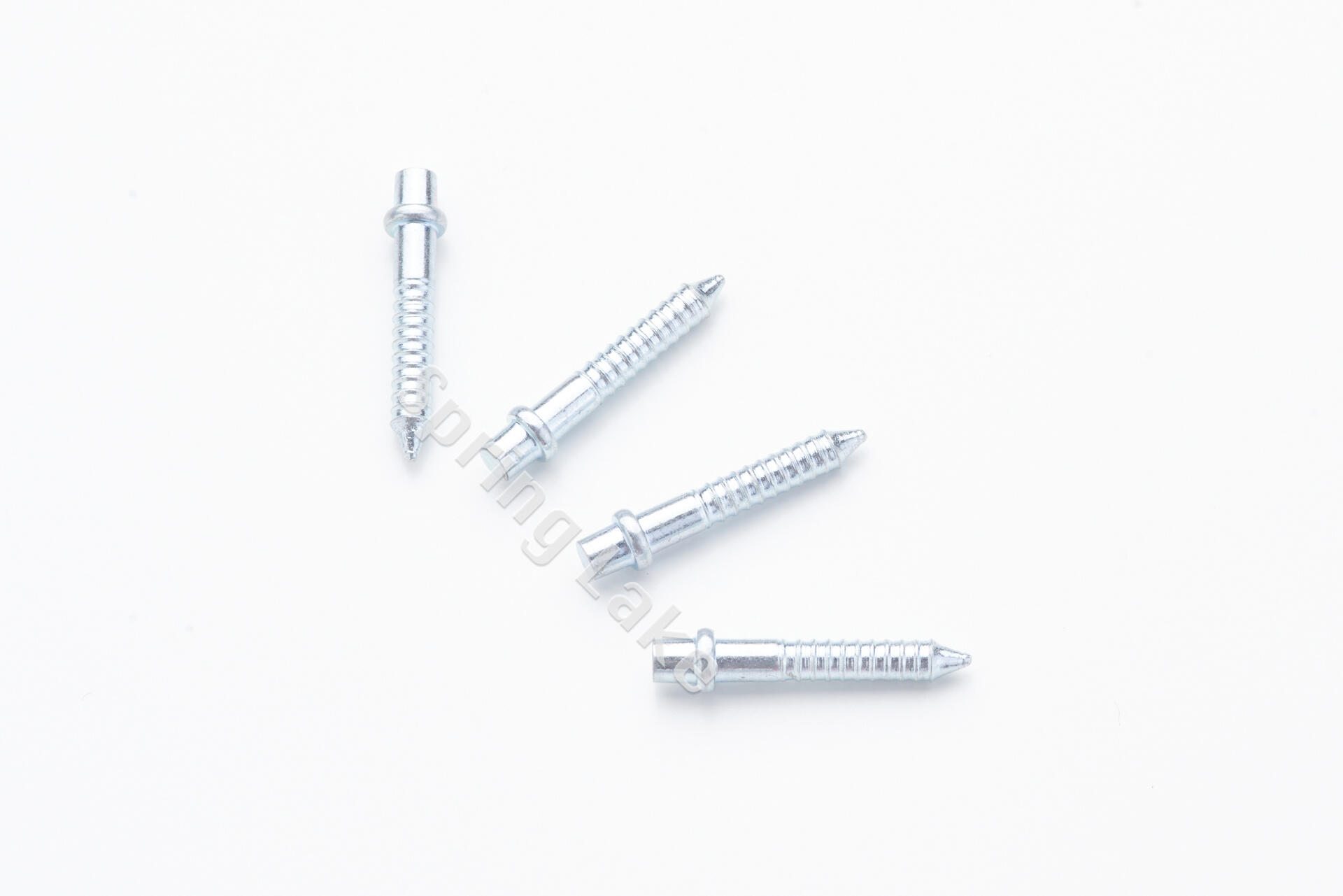 Special Rivet - Spring Lake Enterprise Co., Ltd